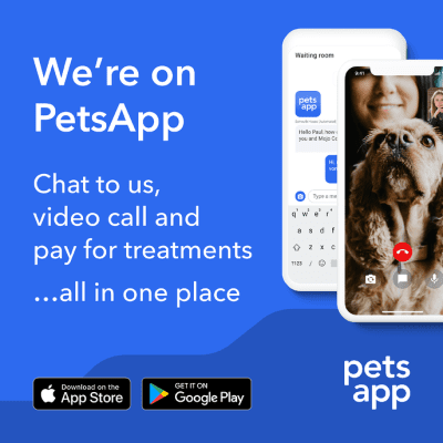 PetsApp - Thrums Vets