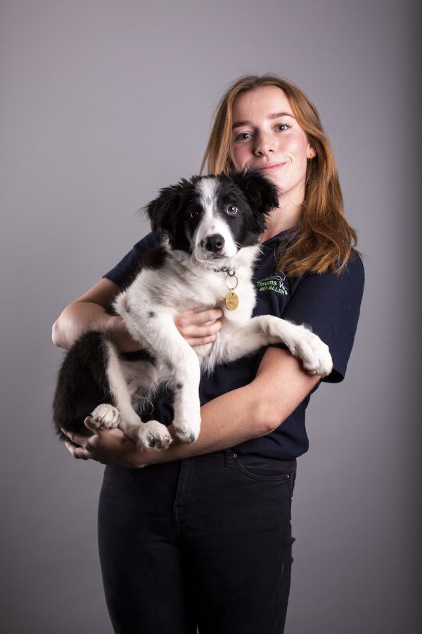 Vets in Kirriemuir | Independent Vets & 24/7 Care | Thrums Vets