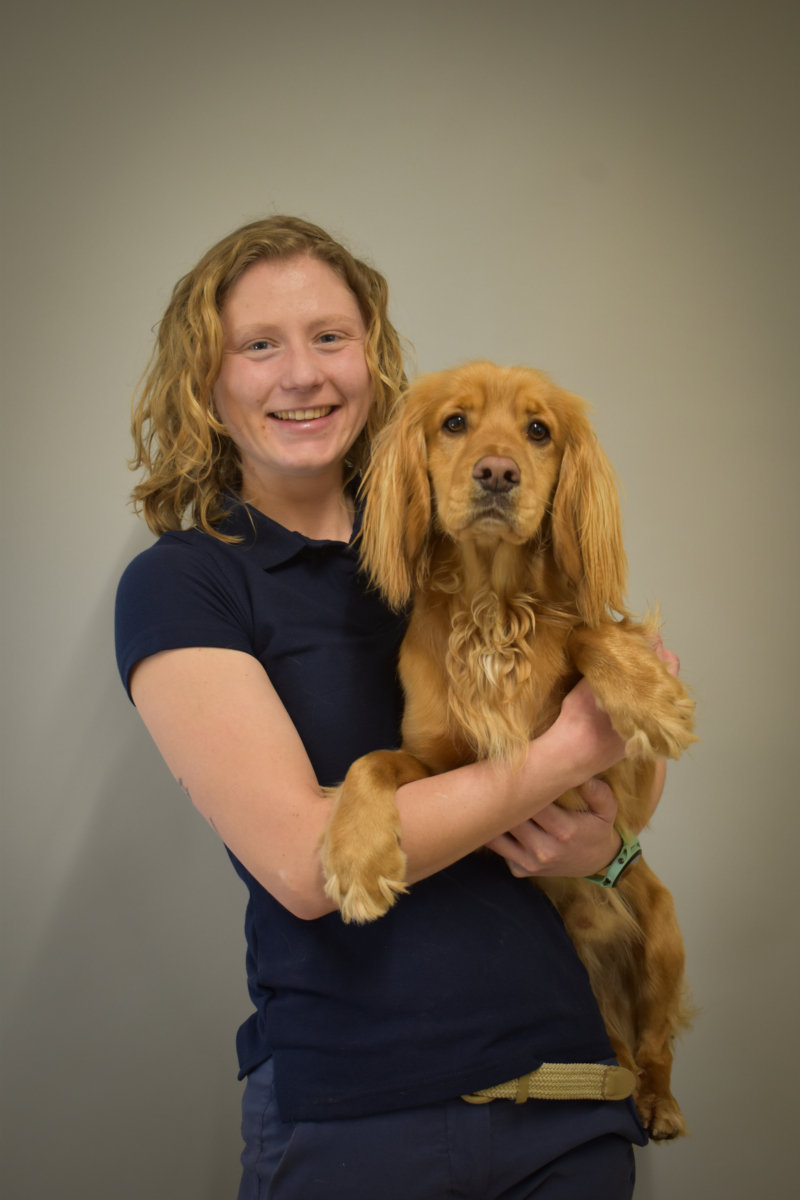 Thrums Vets Kirriemuir | Vets for farm, equine and pets