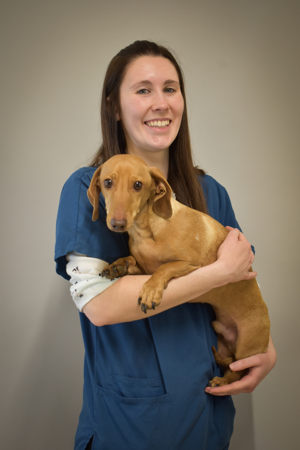 Thrums Vets Kirriemuir | Vets for farm, equine and pets