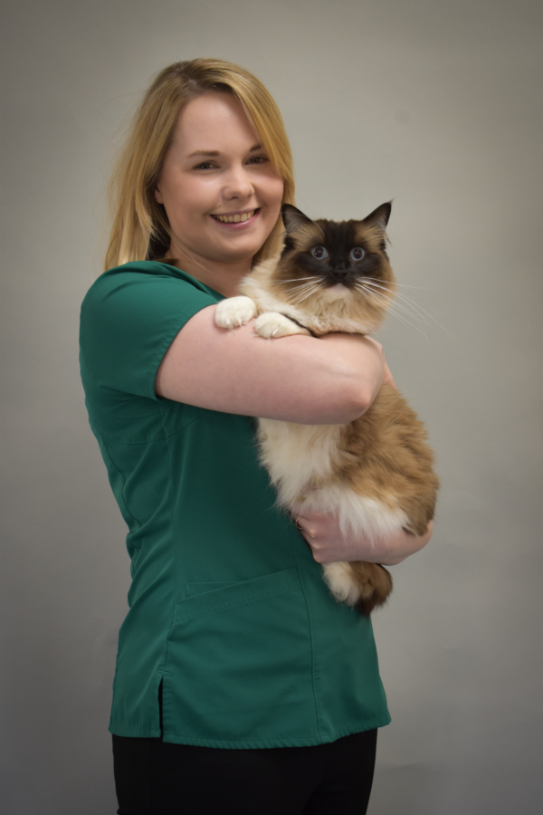 Independent vet in Scone, Perth - Thrums Vets