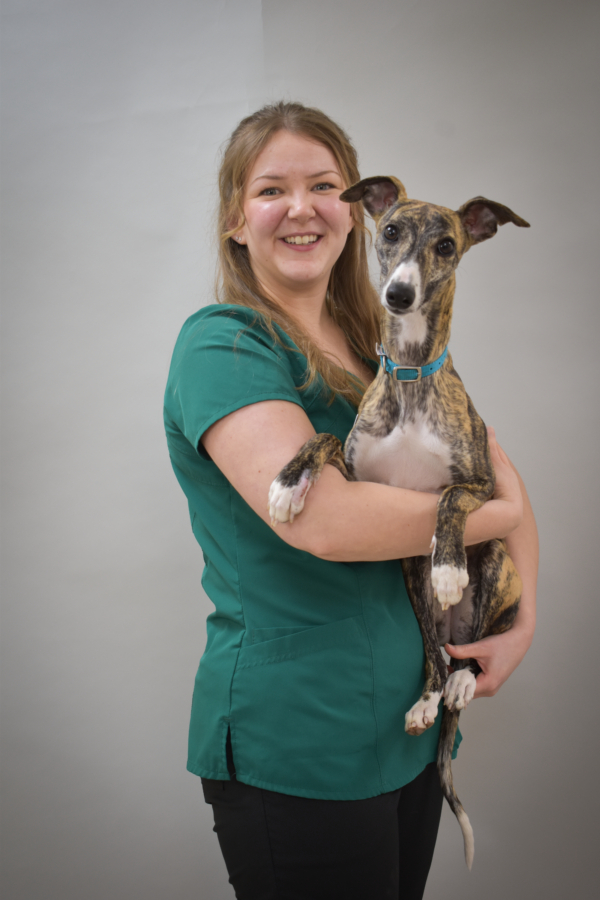 Vet Perth | Independent Vets - 24/7 Emergency Care | Thrums Vets